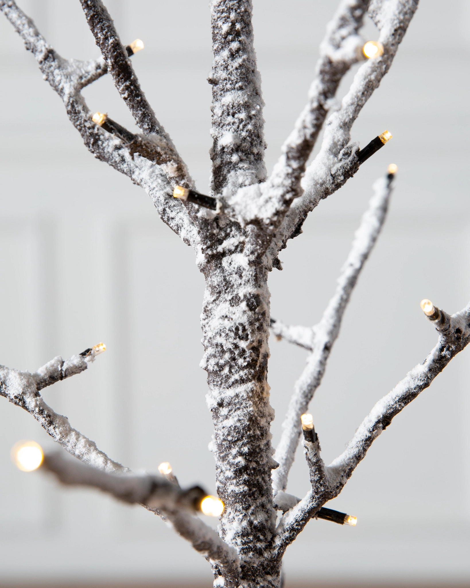 Lit branch tree store